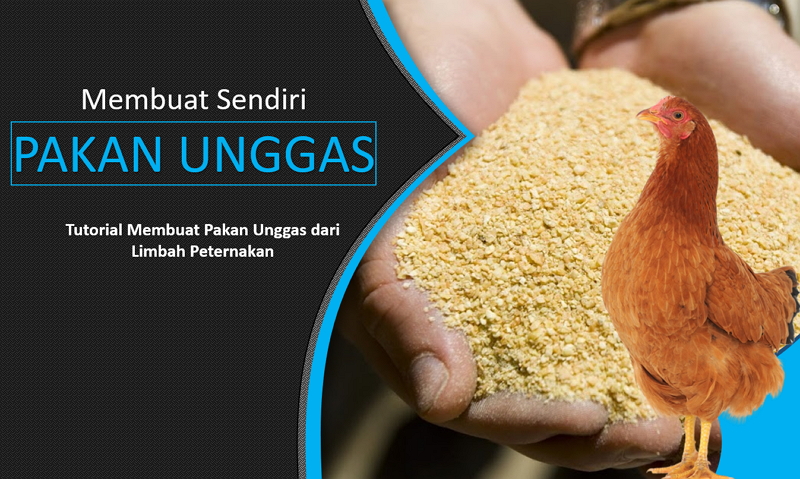 Membuat Pakan Ternak Dan Unggas Dari Limbah Peternakan