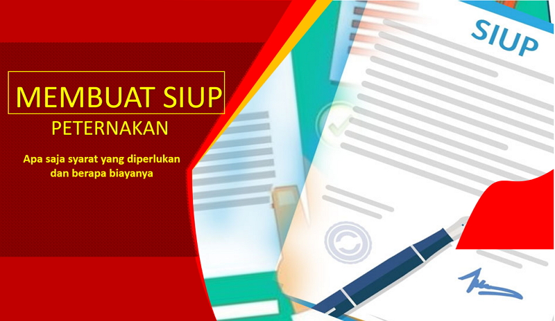 Cara Membuat SIUP Peternakan Berikut Syarat dan Biaya